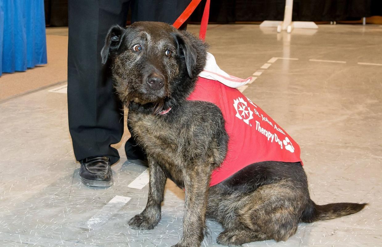 Newmarket hosts York Region's largest home and lifestyle show April 1 ...