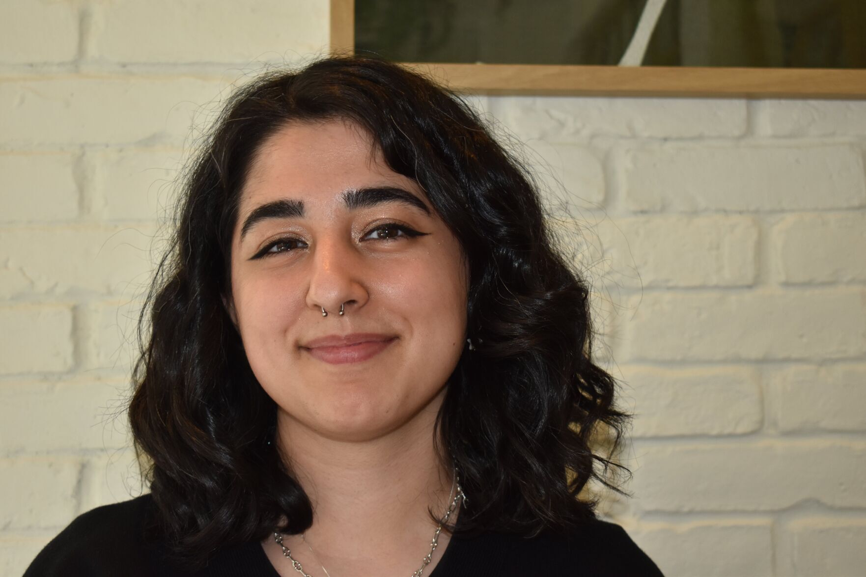 Tehran Book Fair, Uncensored back at Richmond Hill library
