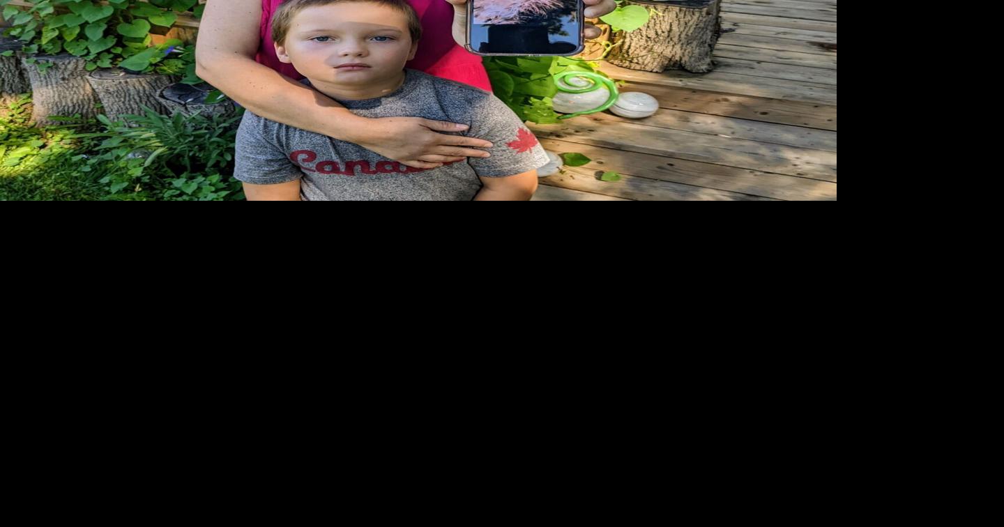 Missing Georgina cat adopted by new family