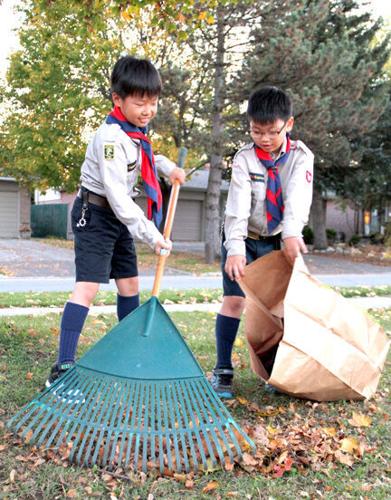 Youth group offers leaf-raking service