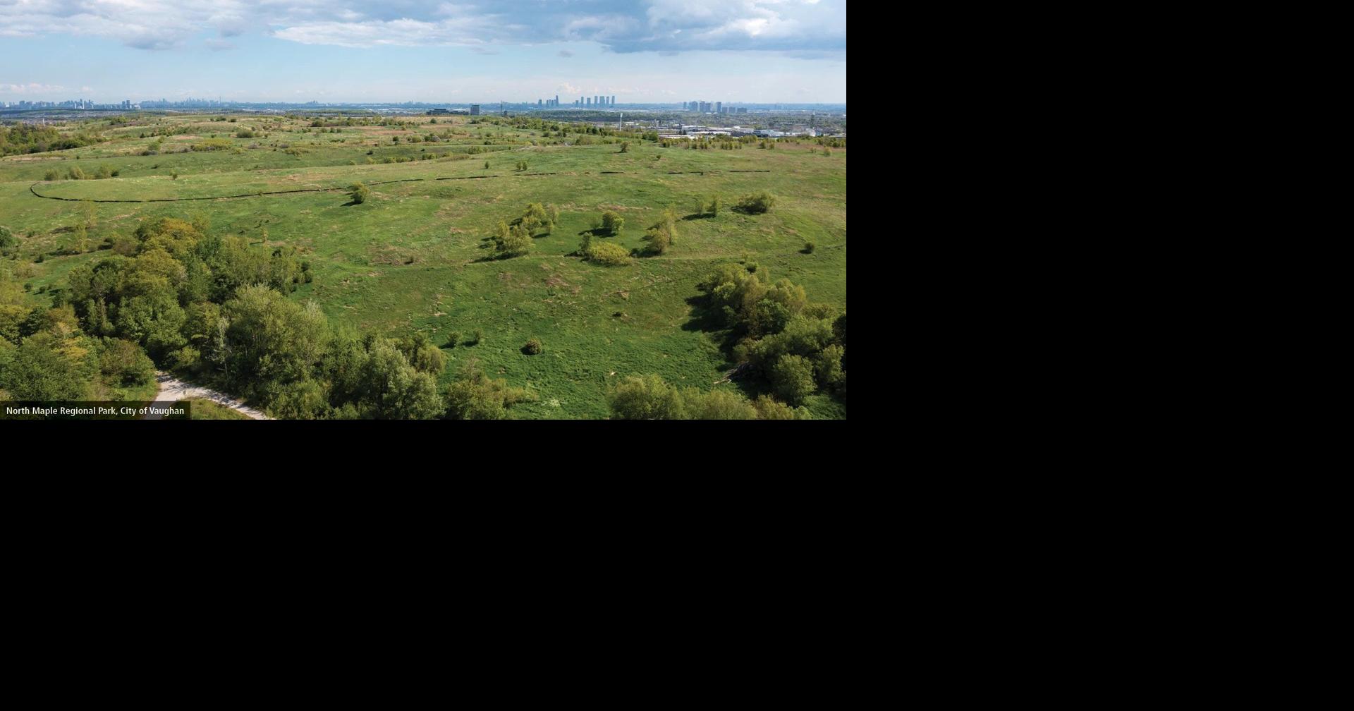 Vaughan planning an off-leash dog park at North Maple park