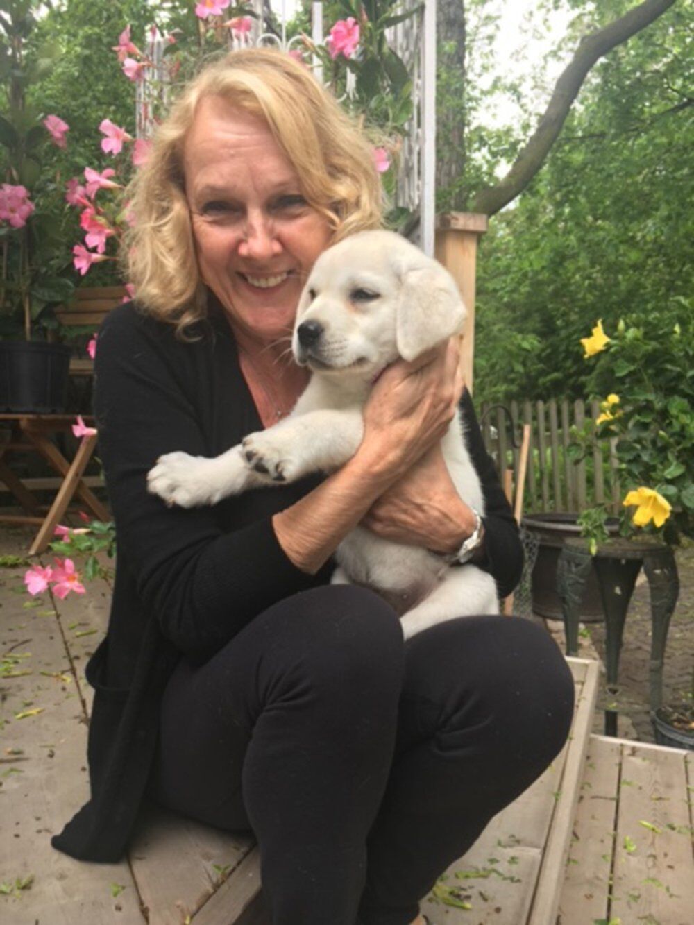 'It was a fence. It was not a minefield': Man jailed following lengthy ...