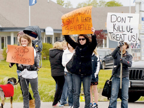 OSPCA probe to start