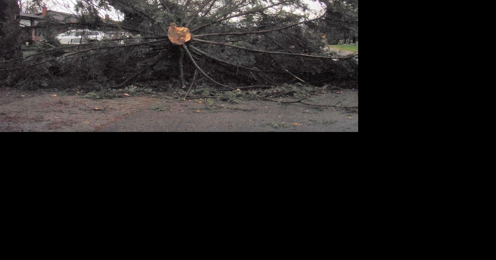 'Shocking, dramatic, scary': Wind storm leaves tens of thousands of ...