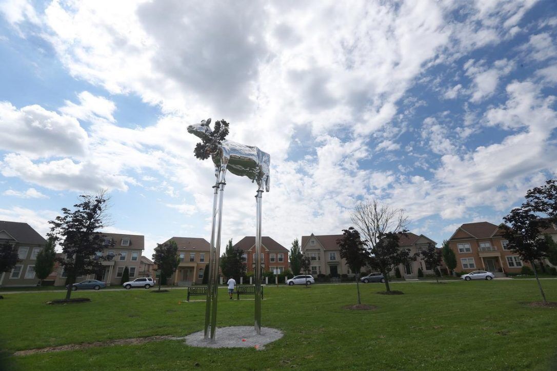 Controversial Markham cow statue still standing