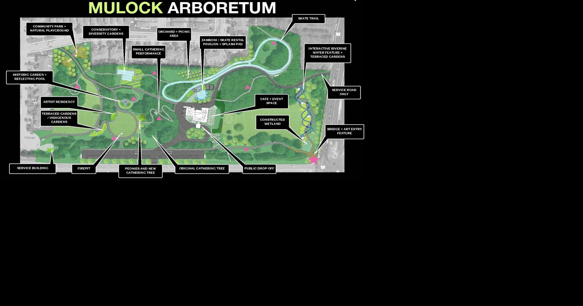 Selective tree removal begins at Newmarket’s Mulock Park