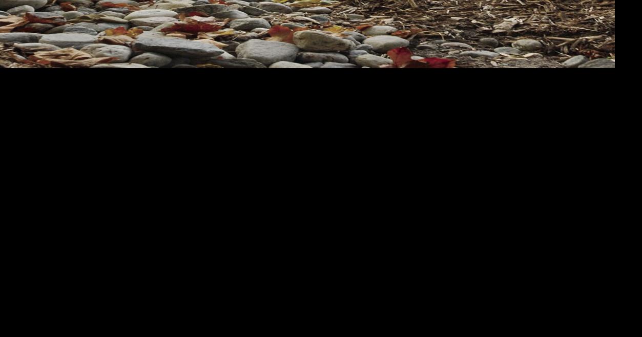 LSRCA tightens rules for development to control water contaminants