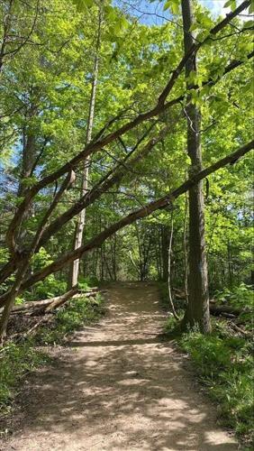 LSRCA closes conservation areas in York Region to clean up storm damage