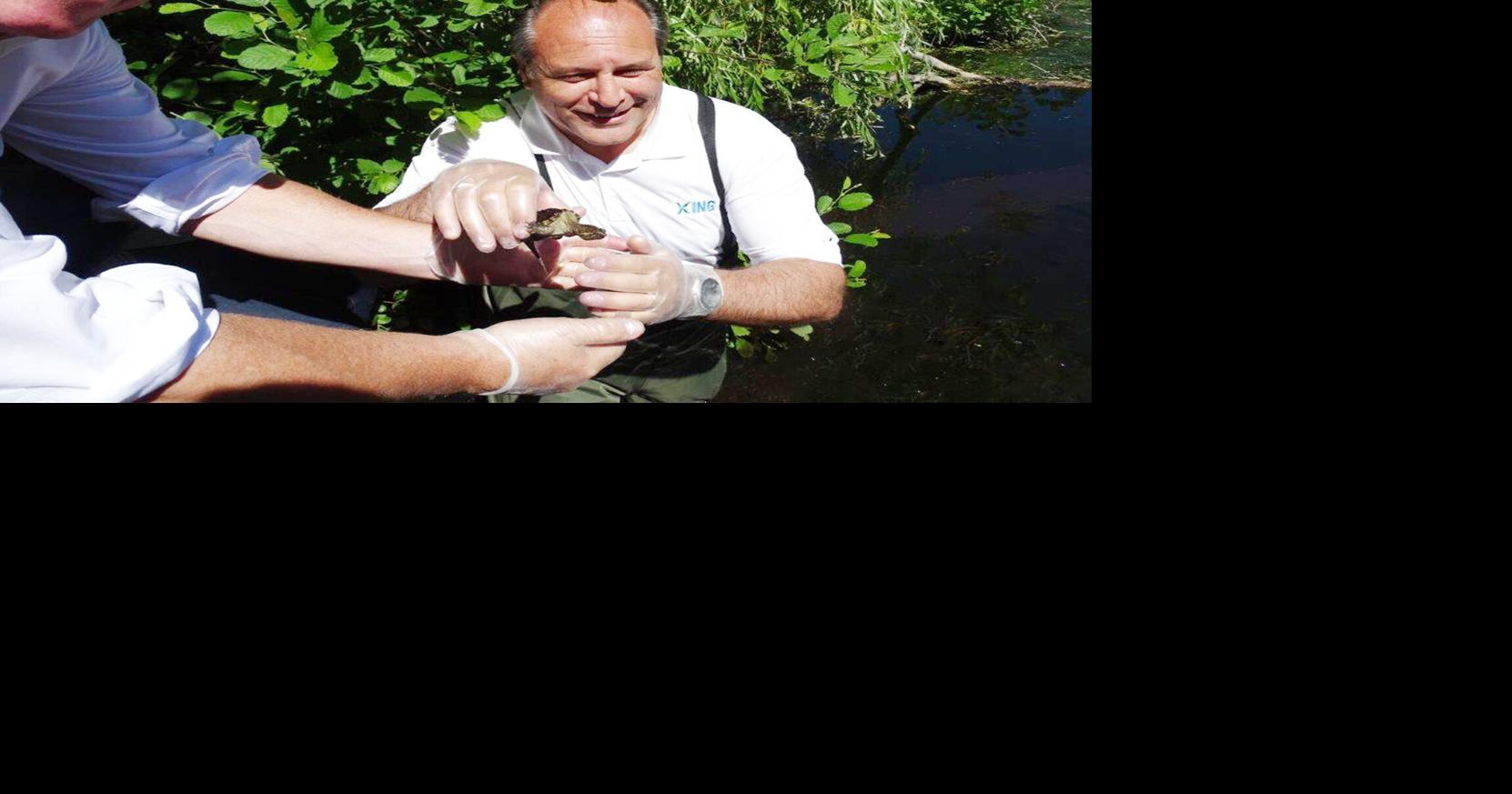 Turtle release at Seneca King Campus good news for at-risk species