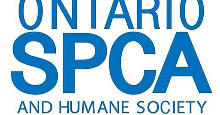 Ontario SPCA offering camp programs to animal-loving youth