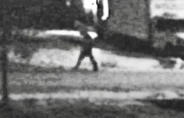 VIDEO: Police want to speak to man seen by Georgina fire that killed ...