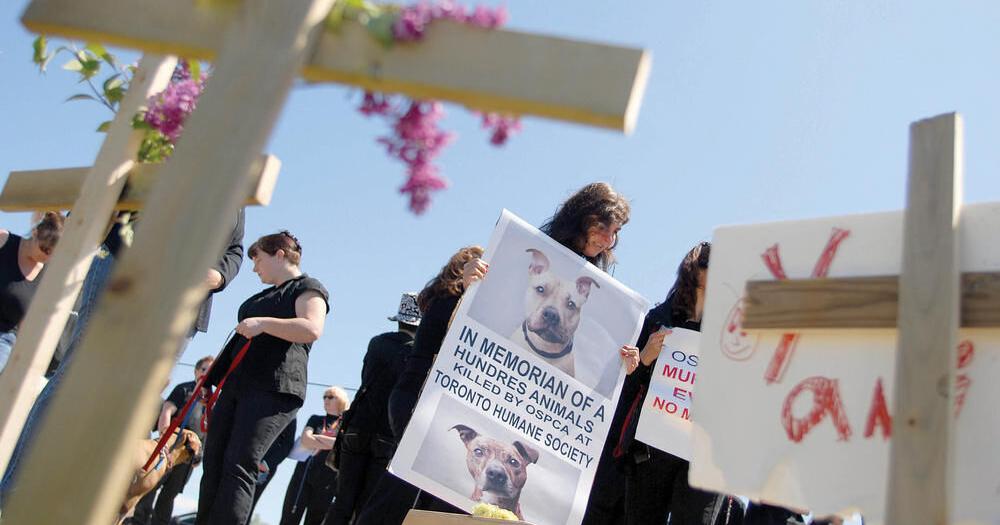 OSPCA's authority debated