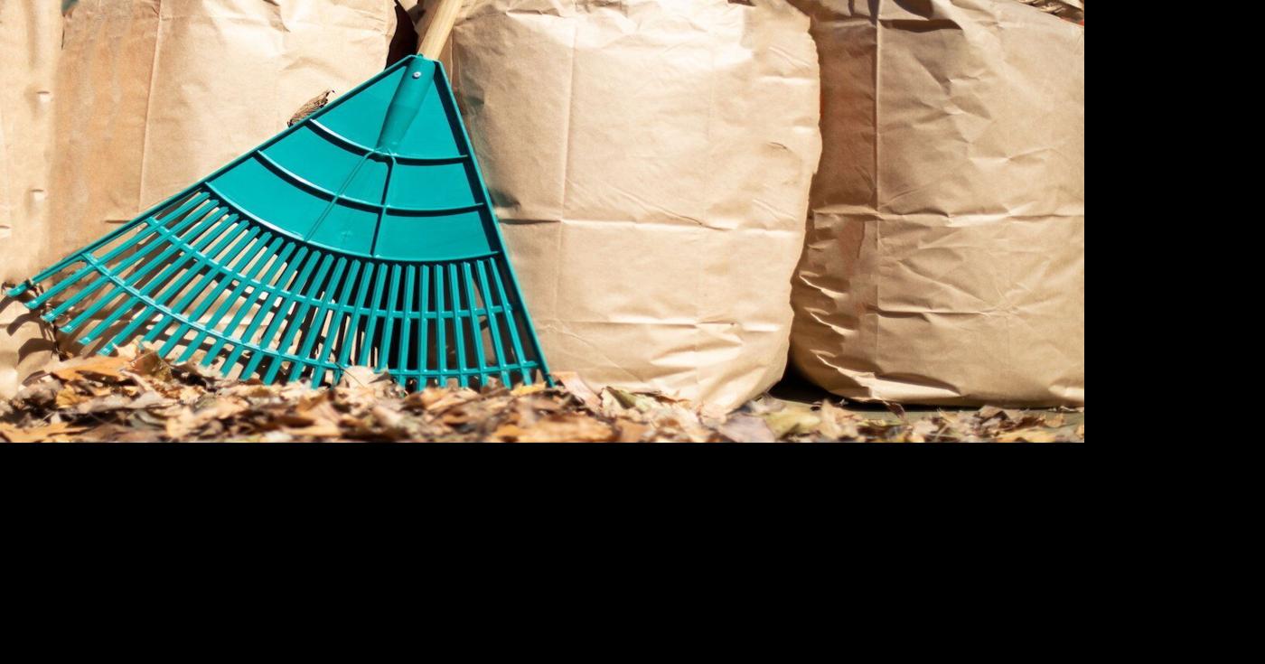 An updated list of tips on leaf and yard waste collection