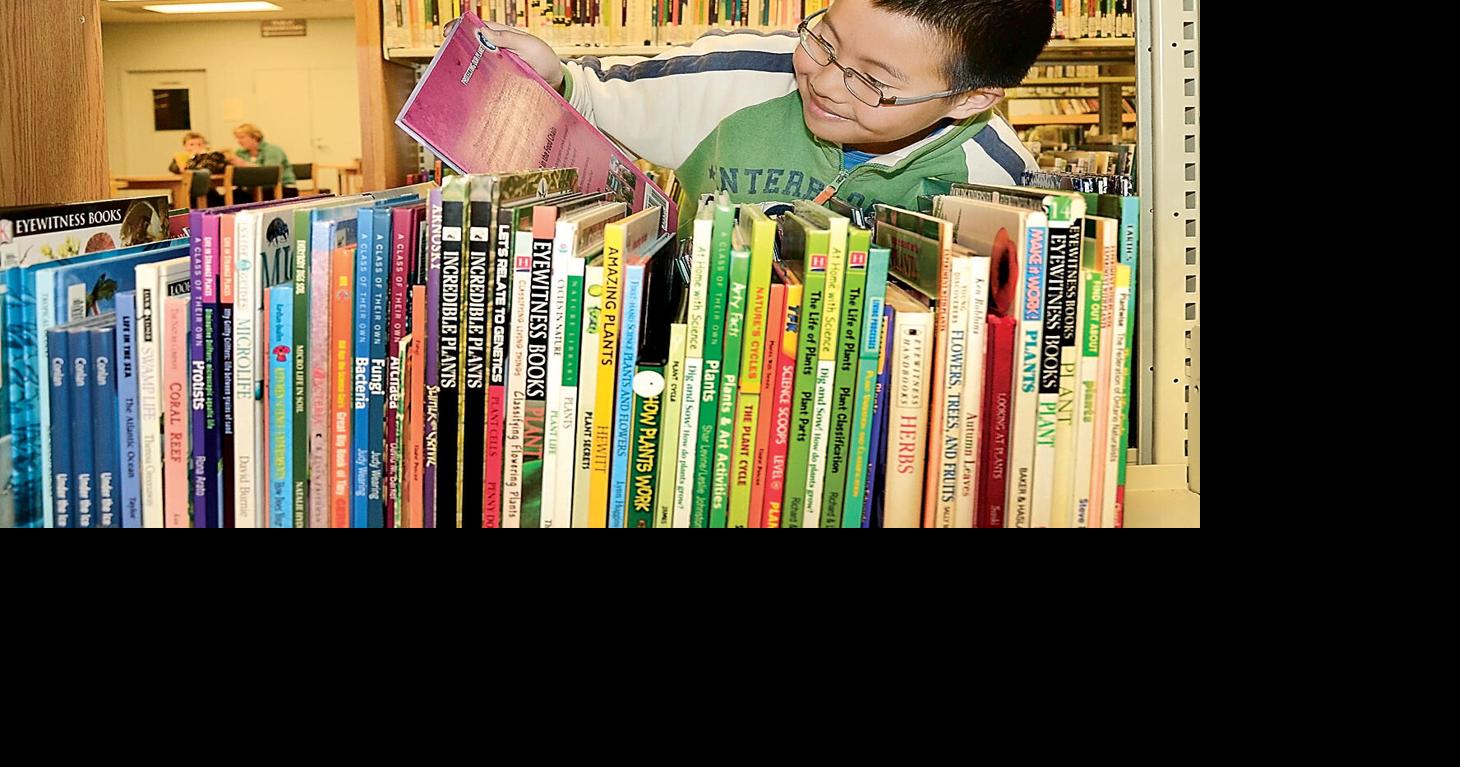 School libraries: dying or just different?