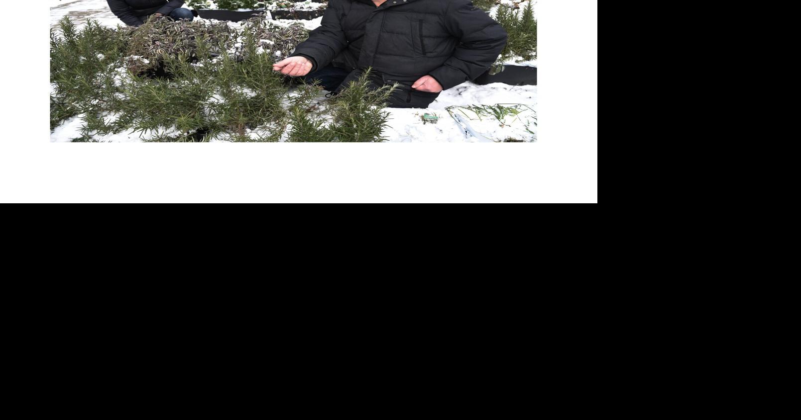 Community farms at Vaughan non-profit inspiring, shows people are ...