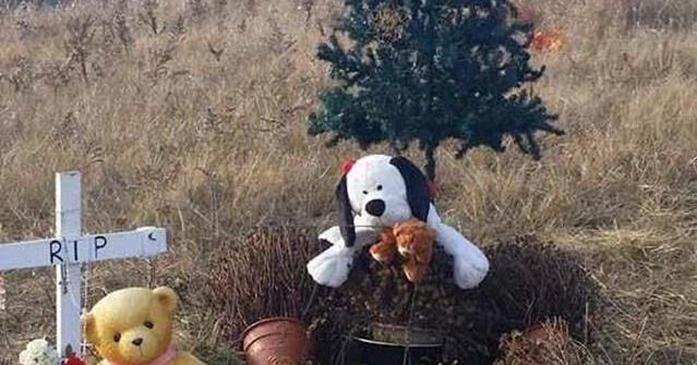 Neville-Lake crash site memorial removed without notice