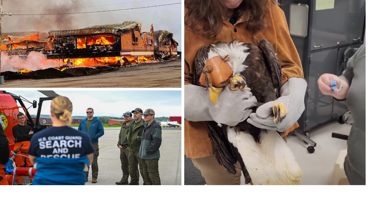 AROUND ALASKA: Disaster Declaration, Rescue Training, and 'Wayne's ...