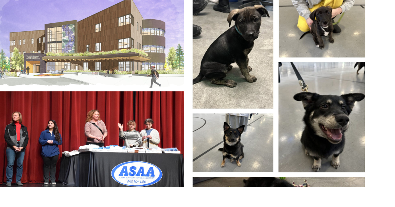 AROUND ALASKA: UAF Expands, What Did They Say, and New Doggos! | Around ...