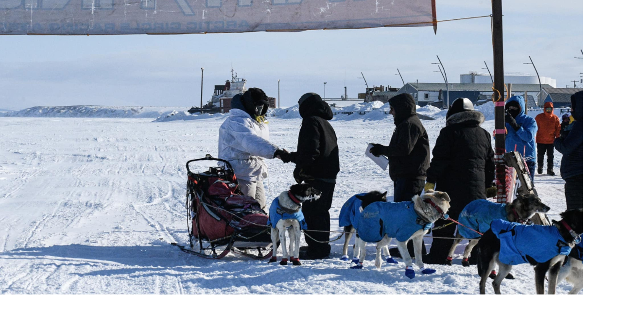 Jessie Holmes wins 2024 Kobuk 440, conquers 'Arctic's Toughest Race' | Homepage | youralaskalink.com