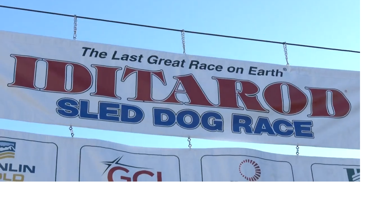 Holmes, Hall, Drobny close as Iditarod heats up on the Bering Sea coast | Iditarod ...