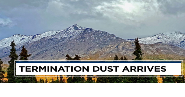 Termination Dust has arrived | News | youralaskalink.com