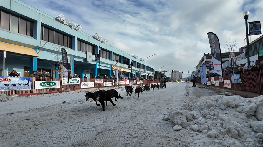 PHOTOS: 2025 Rondy Invitational | Fur Rondy | youralaskalink.com