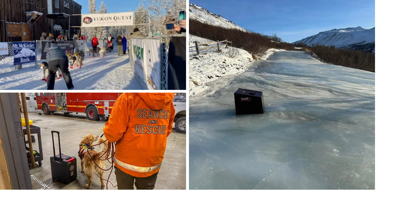 AROUND ALASKA: Race Winner, Canyon Road, and K9 Training | Around ...