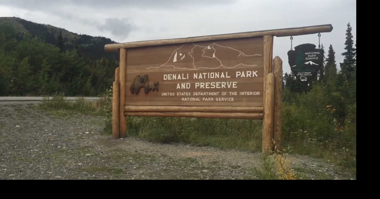 Denali National Park considers increasing daily vehicle limit on park ...