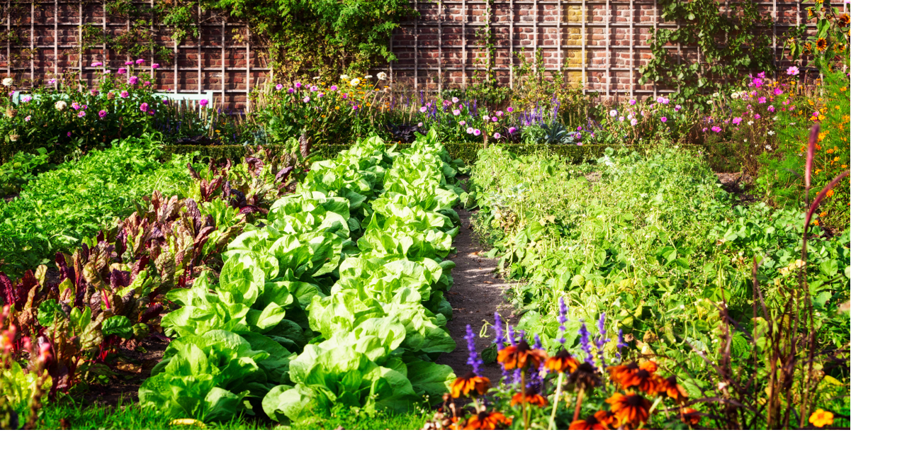 Apply Now for Alaska Micro-Grants to Boost Local Food Security ...