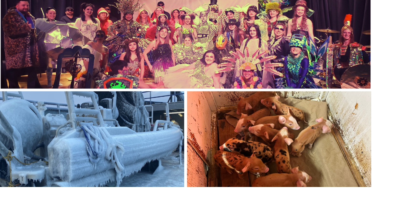 AROUND ALASKA: 'Cool' Pictures, Wearable Art, and Some Little Piggies ...