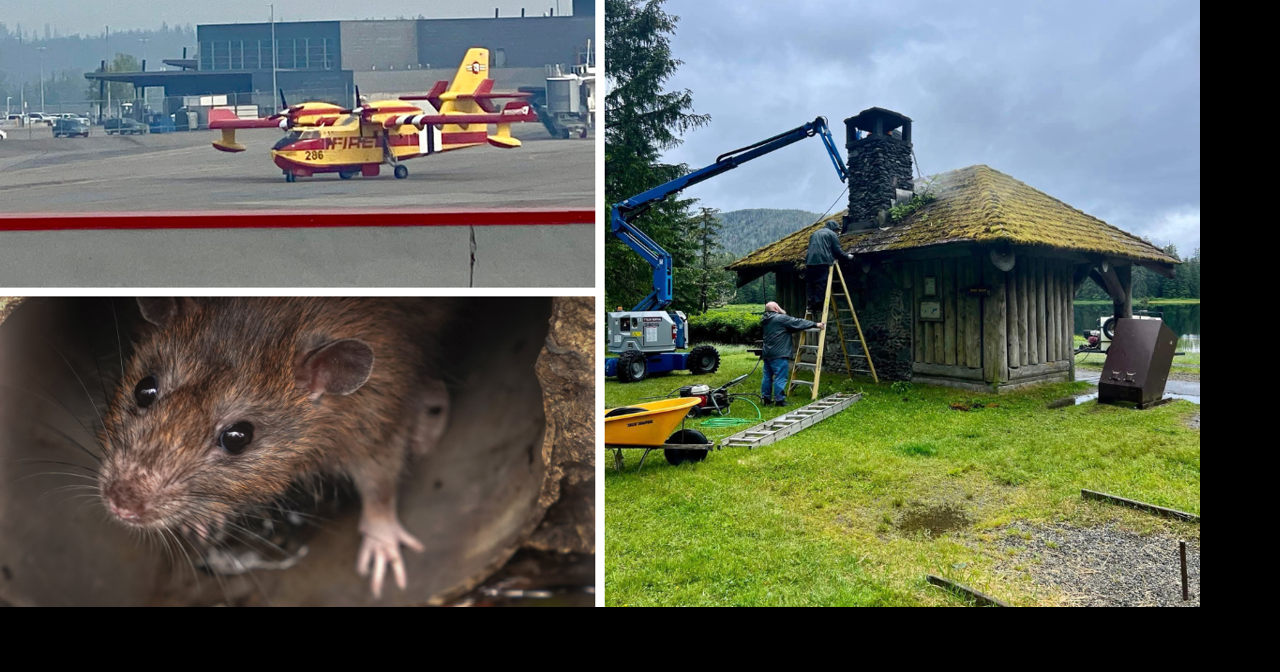 AROUND ALASKA: Water Bombers, Rat Sighting, and Shelter Clean-Up ...