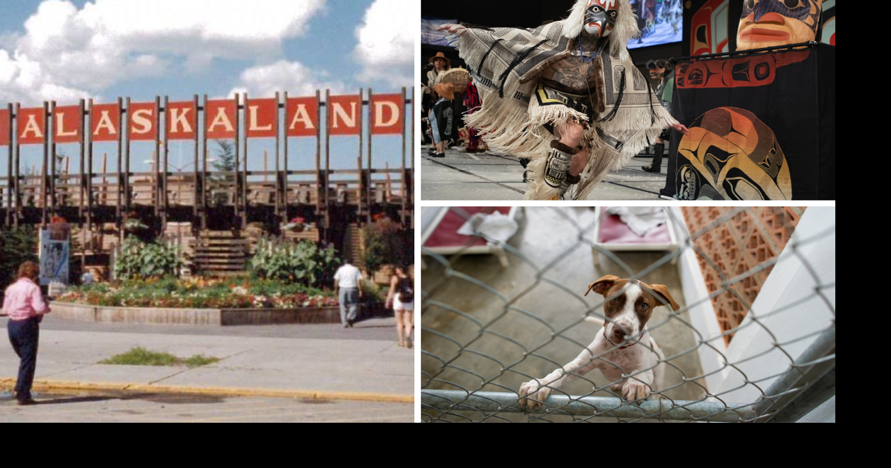 AROUND ALASKA: A New Name, Artist Contest, and Pet Adoption! | Around ...