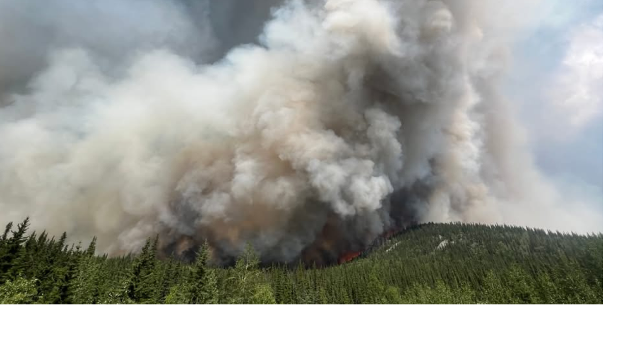 Alaska fire season update: 17 wildfires reported, burn permits required ...