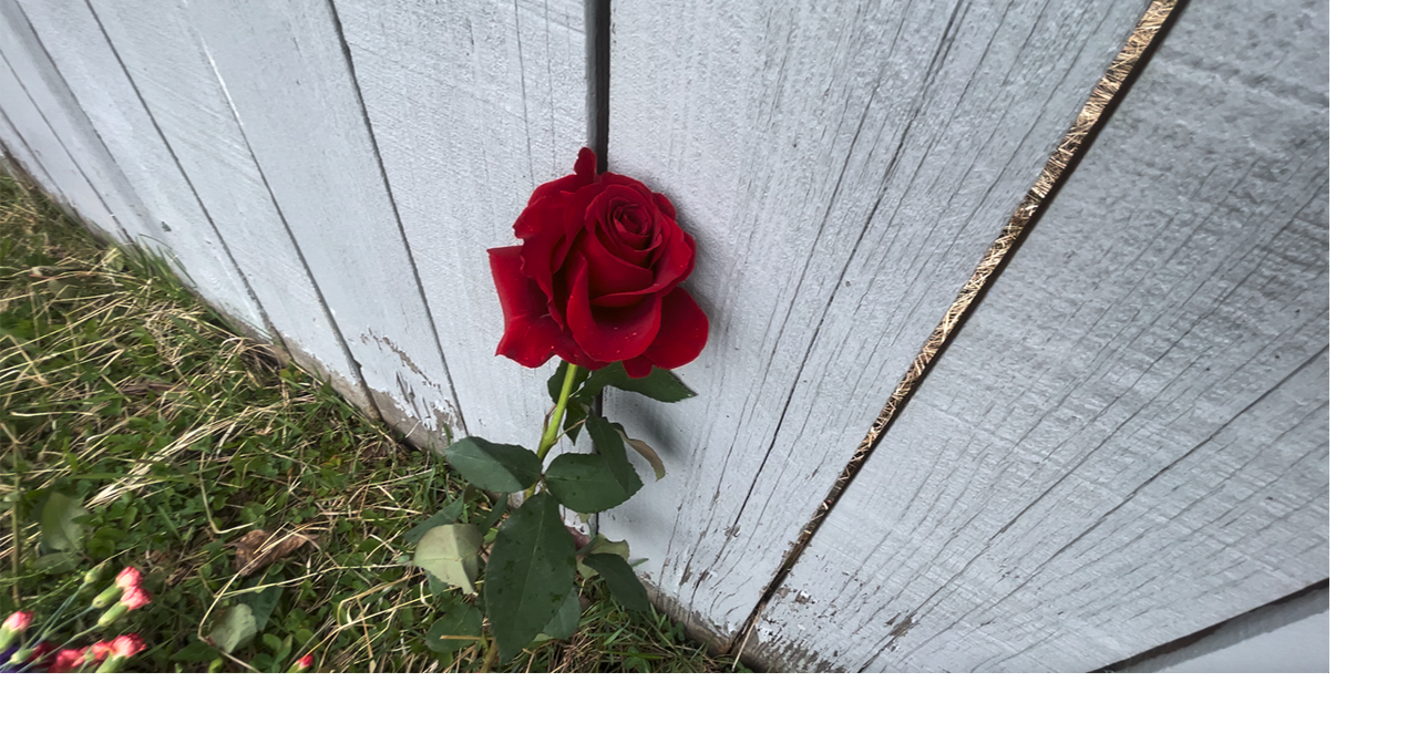 Anchorage teen Aaron Edwards Jr. identified as victim in suspicious ...
