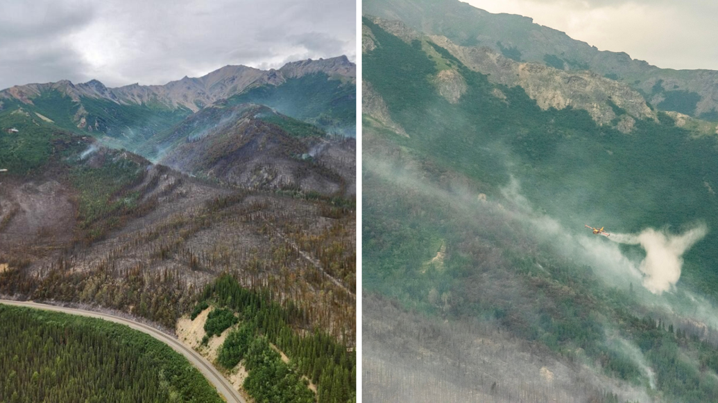 Denali National Park Remains Closed Due to Riley Fire; Only 5% ...