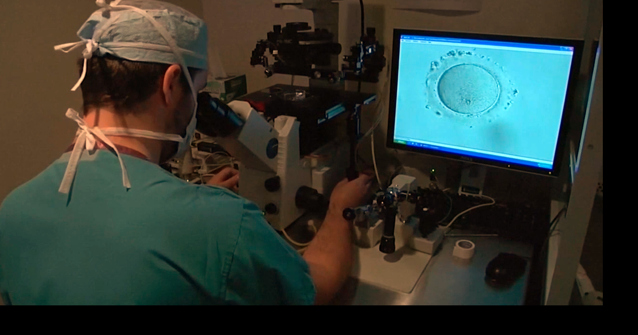 Alabama passes law protecting IVF providers and patients from liability ...