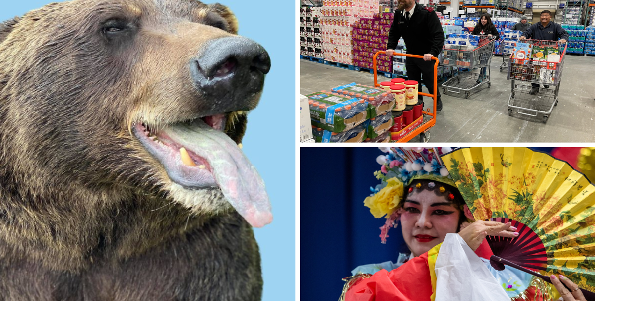 AROUND ALASKA: Much-needed Help, Year of the Dragon, and 'Hold My Bear ...