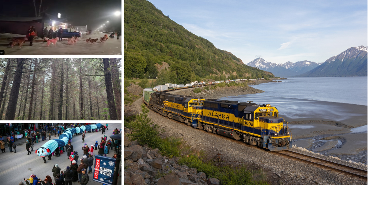 AROUND ALASKA: Serum Run, Forest Management, Iceworm Festival, and ...