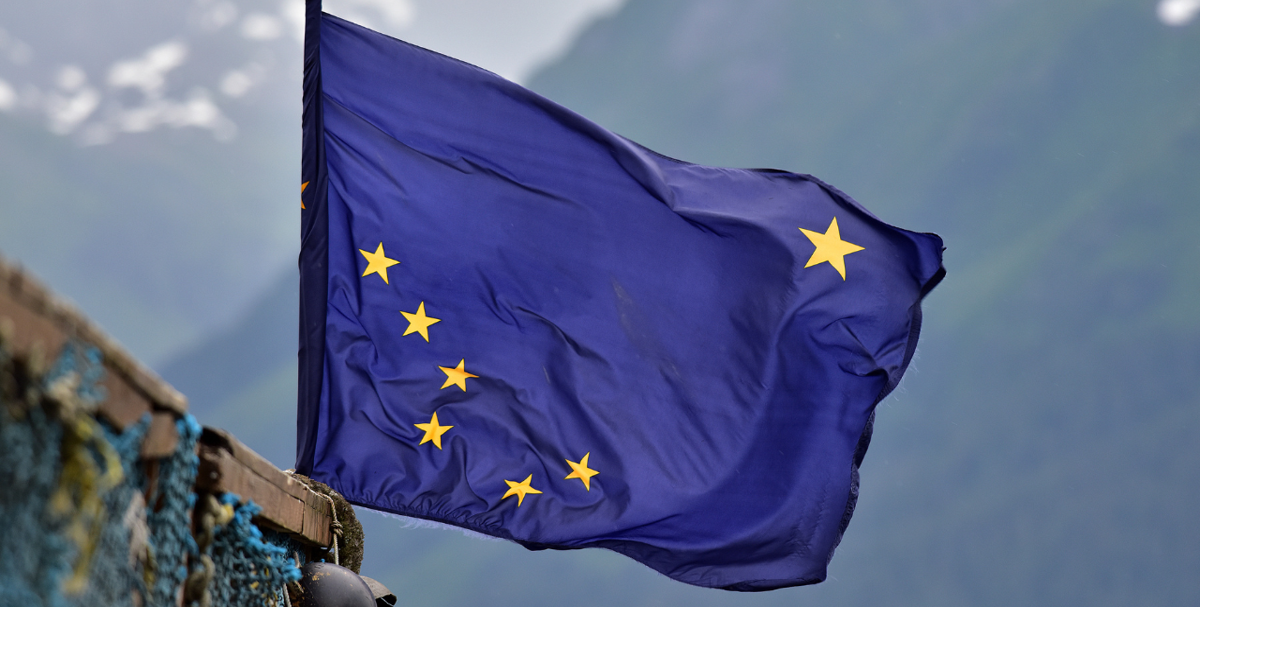 Alaskans celebrate state flag and Benny Benson’s legacy on July 9 ...