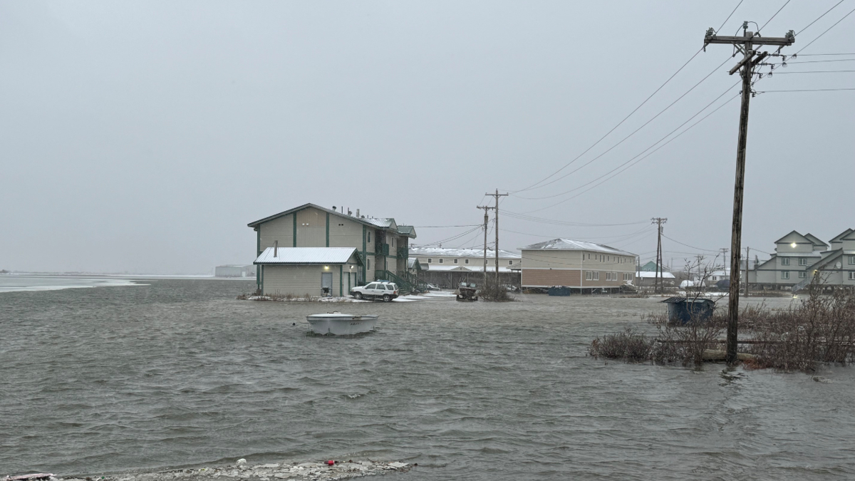 Alaska Governor Dunleavy Declares Disaster Following Devastating ...