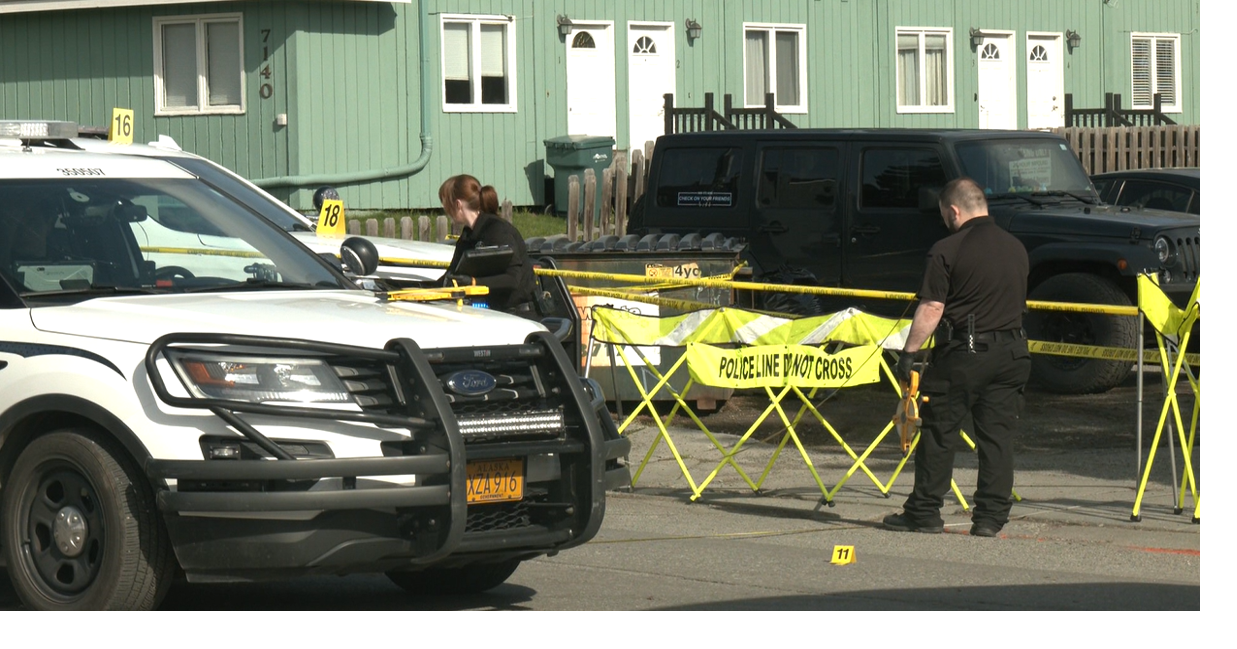 Anchorage Chief of Police Responds to online video of officers account ...
