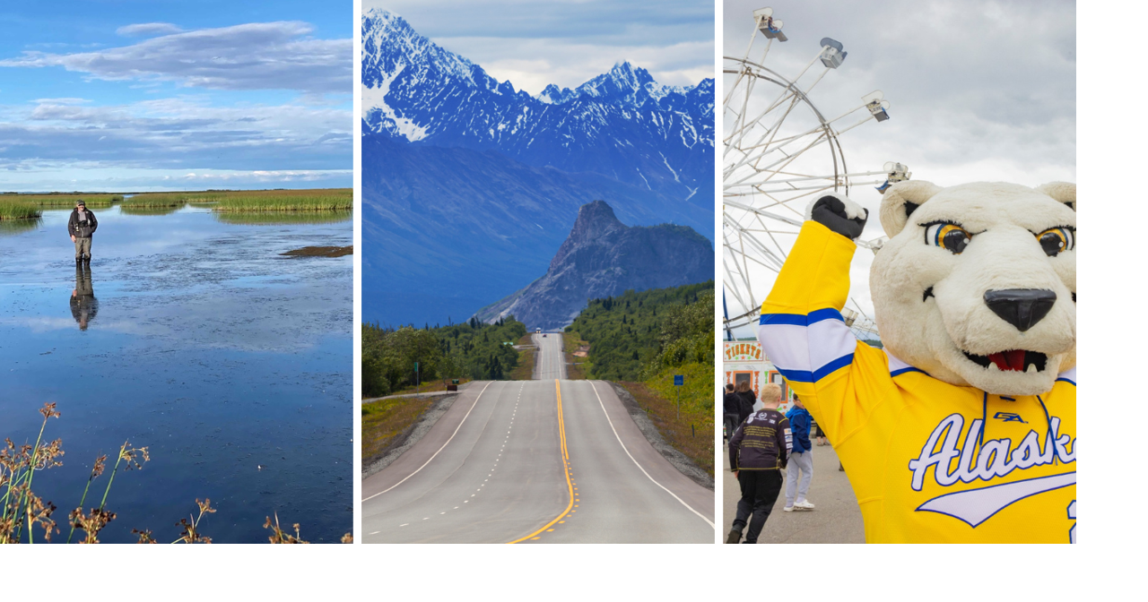 AROUND ALASKA: Duck Hunters, WestSu Access, and Tanana Valley State ...