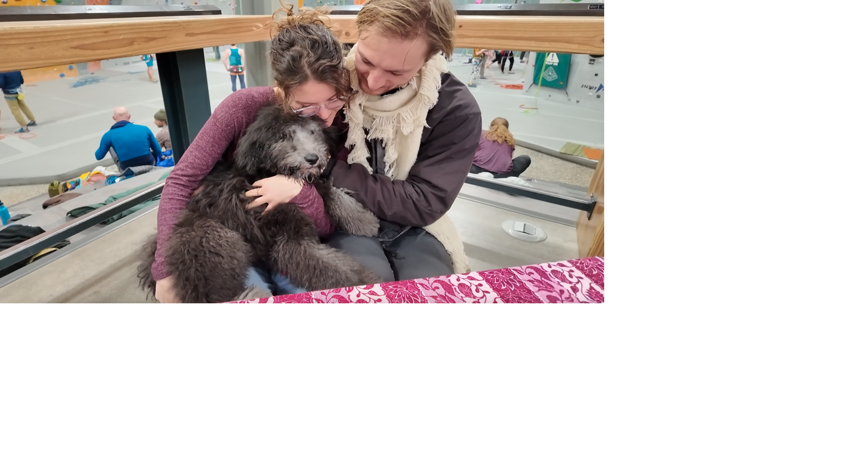 Anchorage shelter dogs share Valentine’s kisses while seeking forever ...