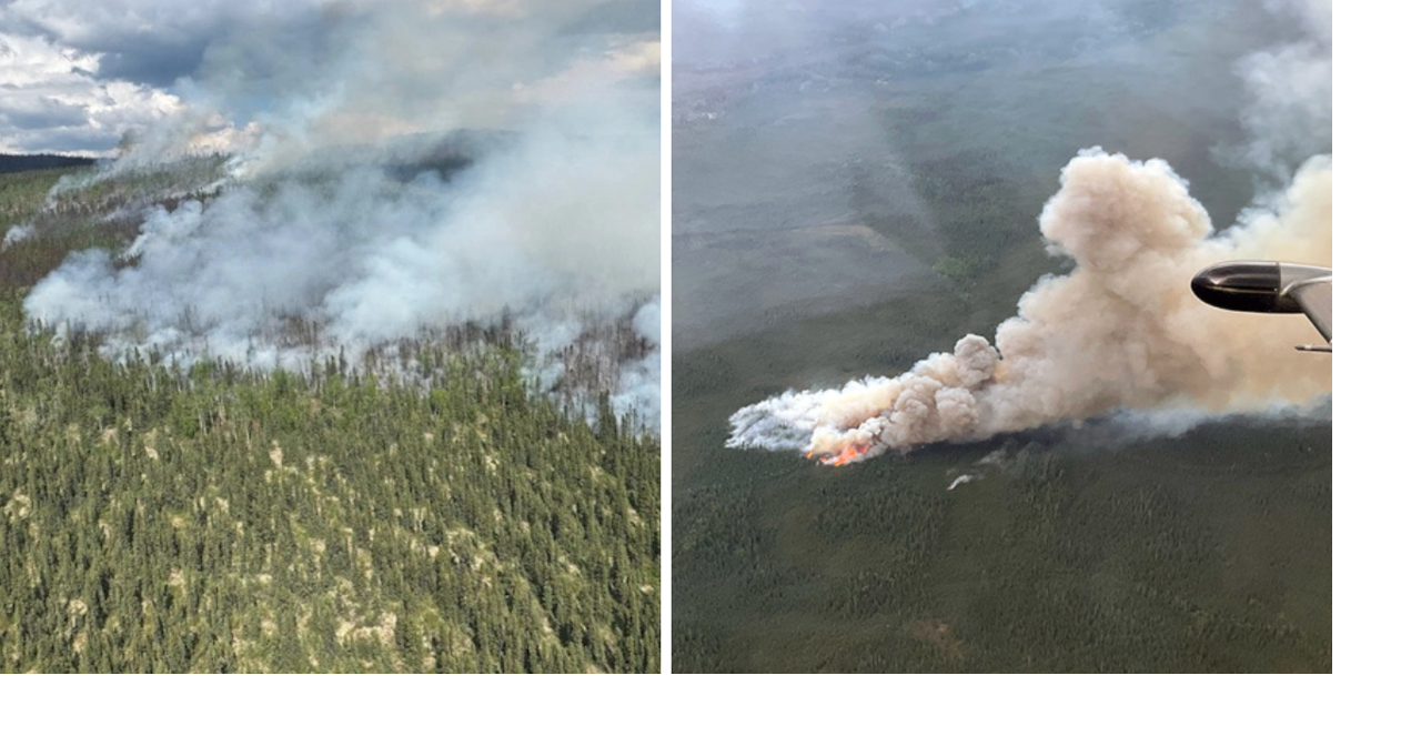 Governor issues disaster declaration for Denali Borough wildfire ...