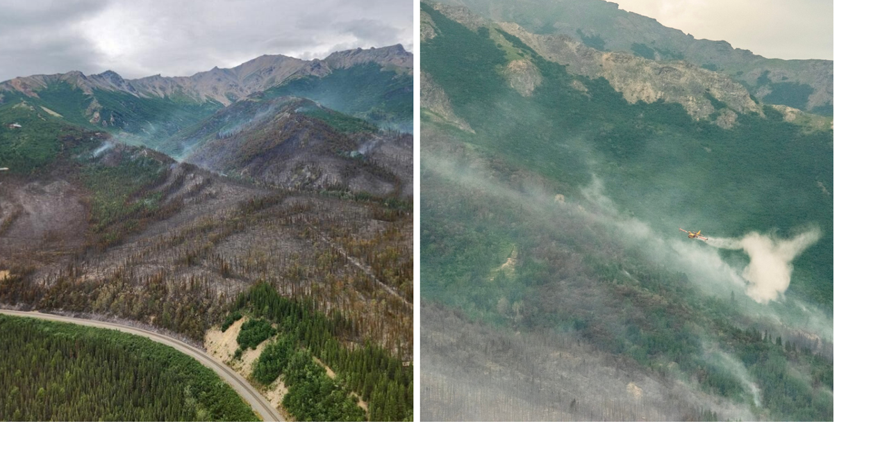 Denali National Park Remains Closed Due to Riley Fire; Only 5% ...
