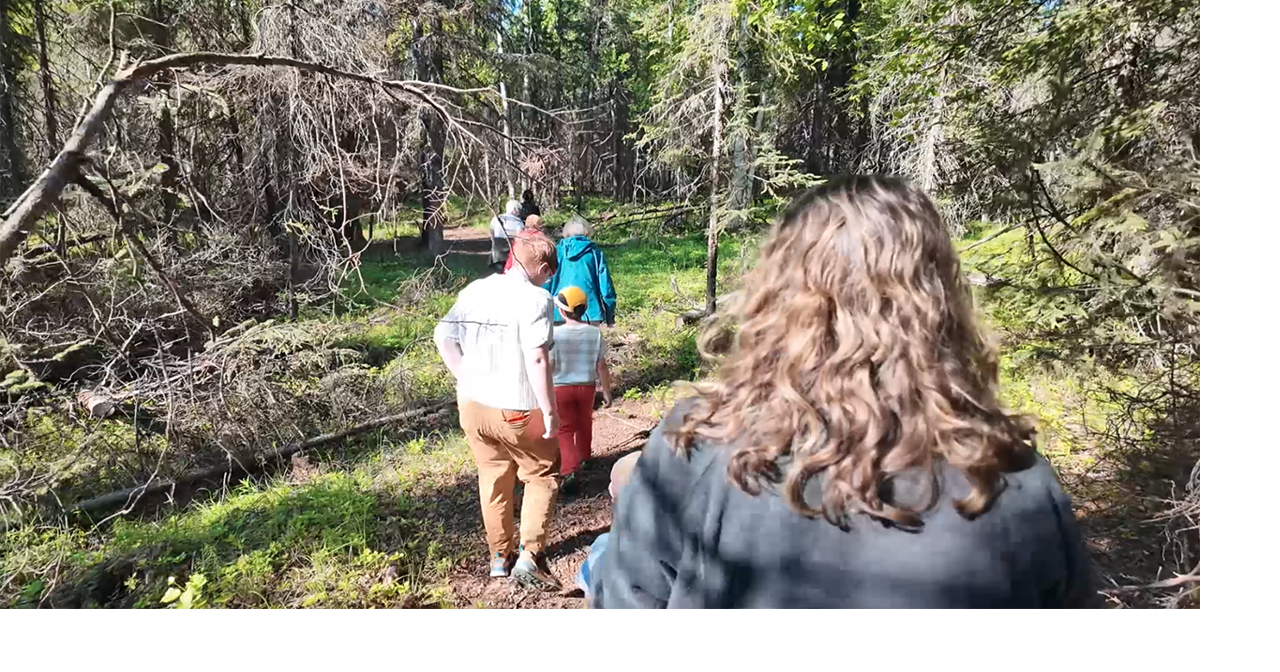 Anchorage nature walk teaches wildflower ID, invasive species awareness ...