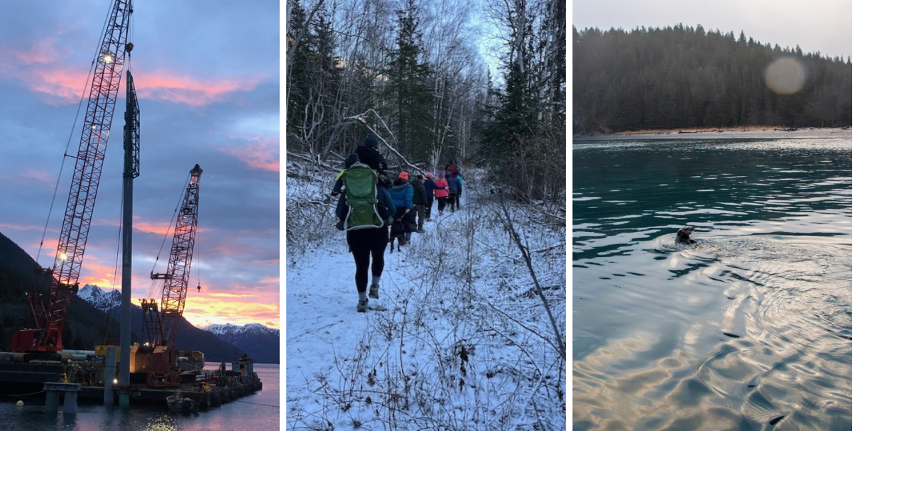 AROUND ALASKA: Maritime Expansion, First Day Hike, and Sea Otter ...