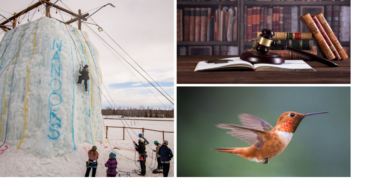 AROUND ALASKA: New Law School, Ice Jam, and Hummingbird Festival ...