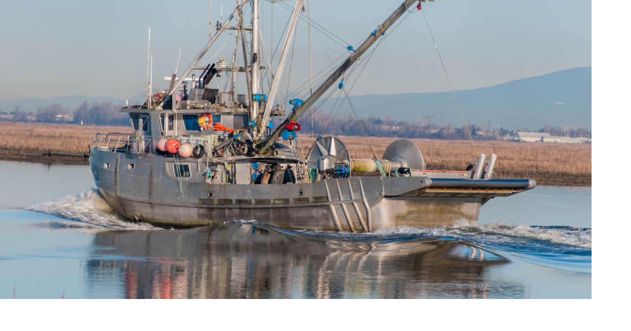 Public input sought on federal management of Cook Inlet salmon fishing ...