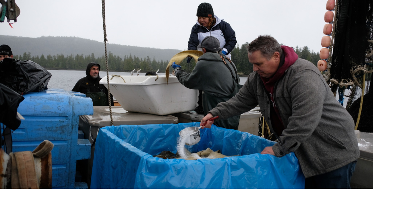 Tlingit & Haida pause traditional food program due to funding cuts ...